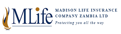 logo-15-feb – Madison Life Insurance